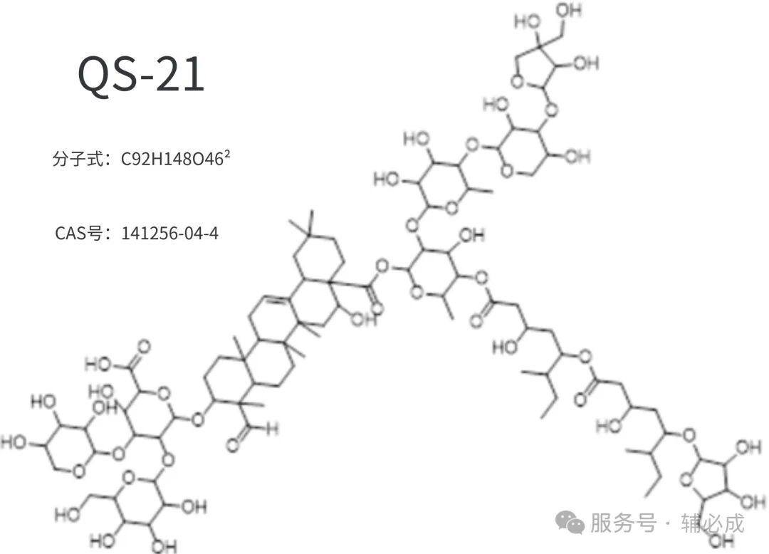 创新|攻克QS-21质控难题,助力疫苗佐剂产业新突破！